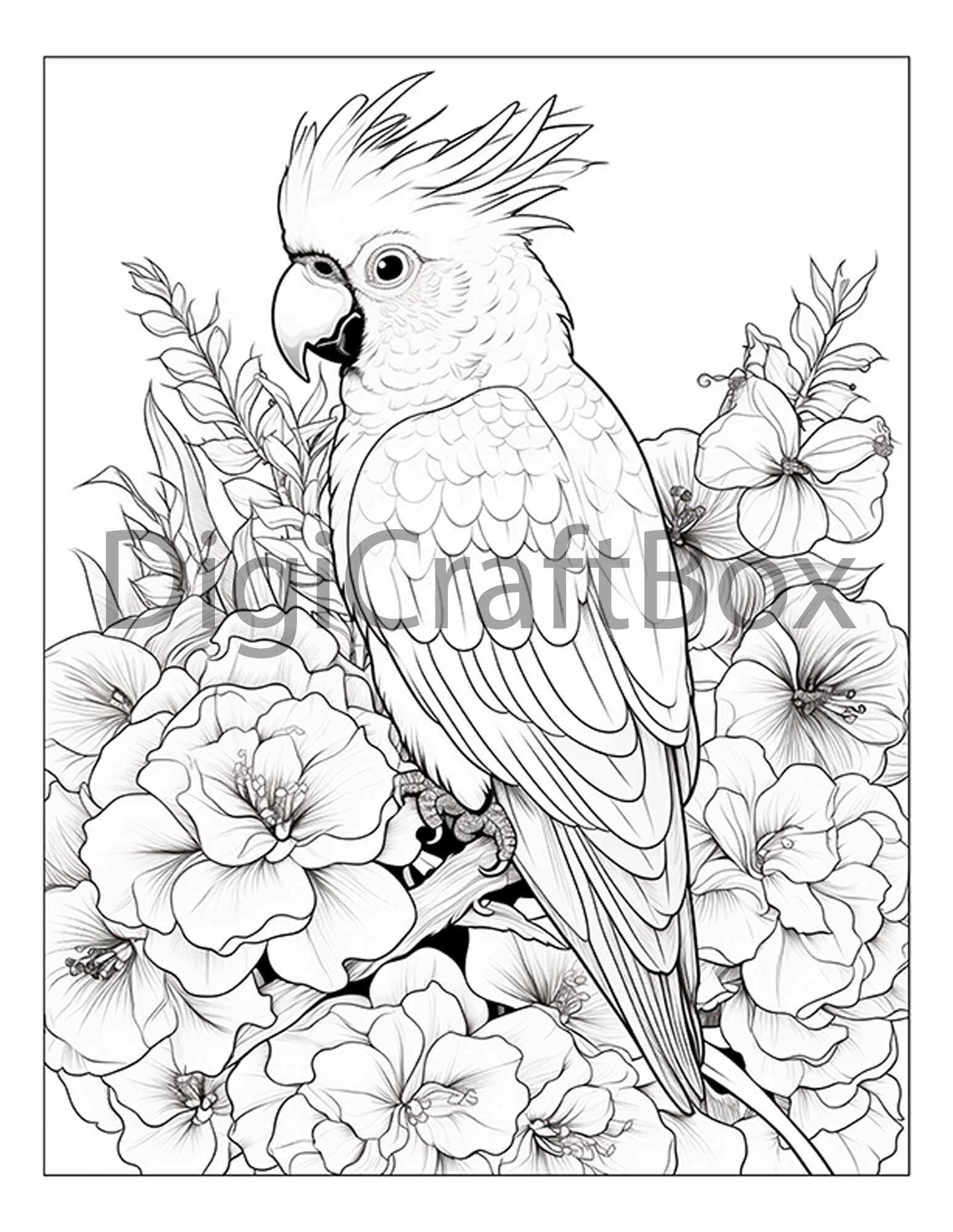 Realistic Parrot Drawing Detailed Avian Artwork With Flowers Printable ...