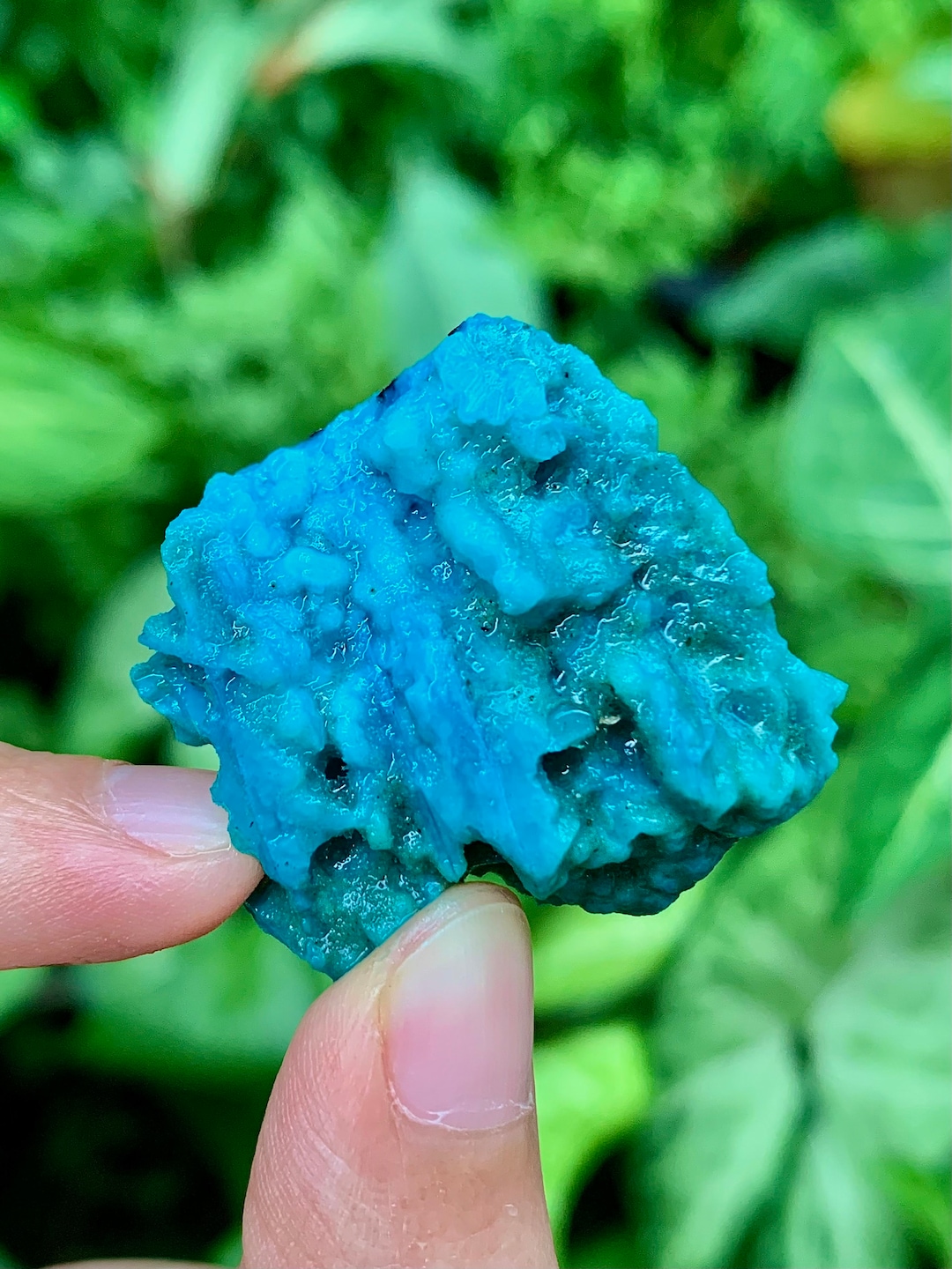 Blue Chrysocolla Specimen Very Stunning Color Indonesia Treasure - Etsy