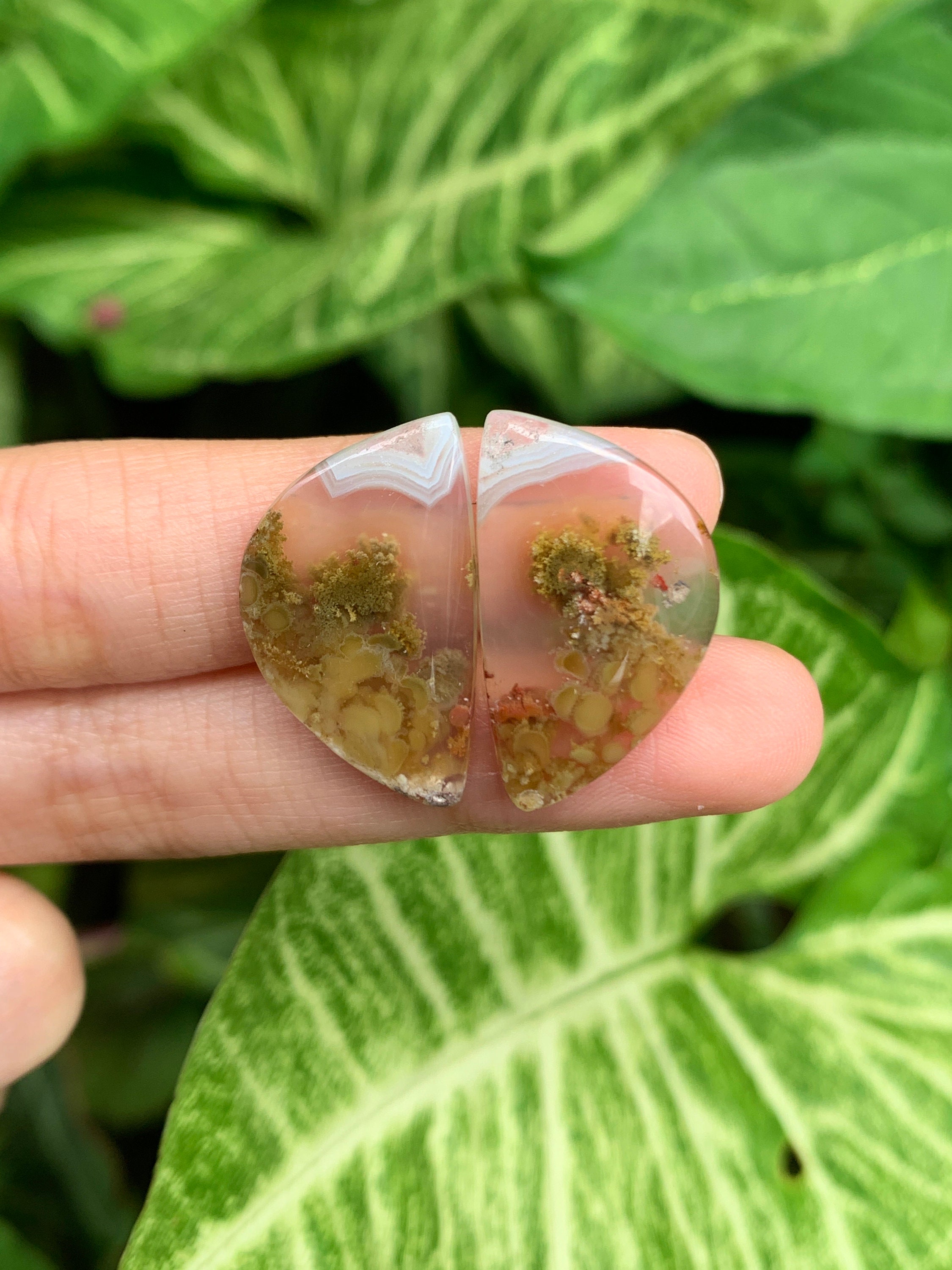 Scenic Moss Agate Pairs God Creature Very Nice to Have - Etsy