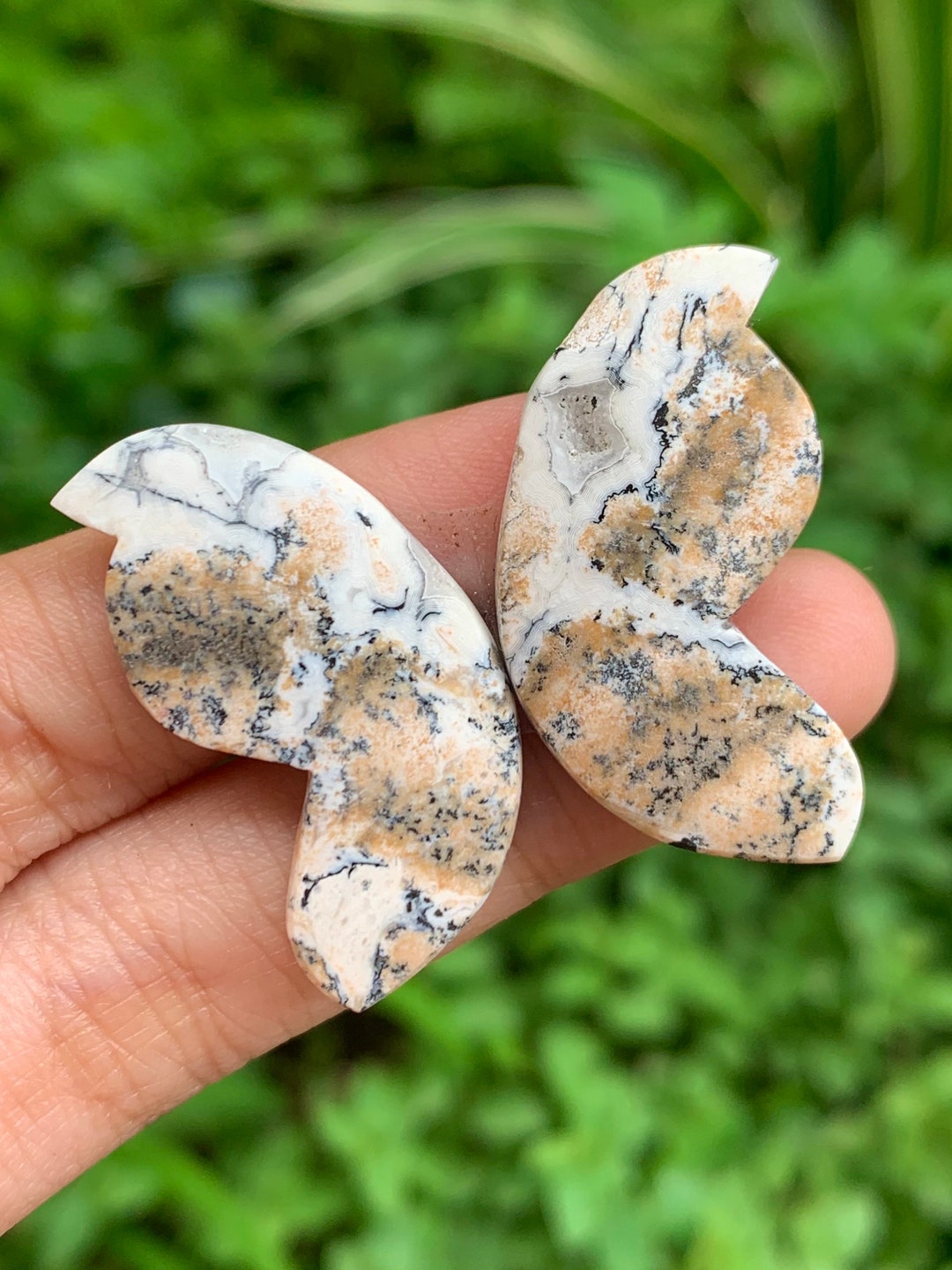 Dendrite on Petrified Wood Butterfly Carving Pair Very Beautiful ...