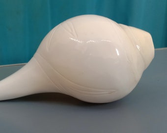 Conch Shell Spiritual Puja-blowing Shankh Big Soothing Vibration ...