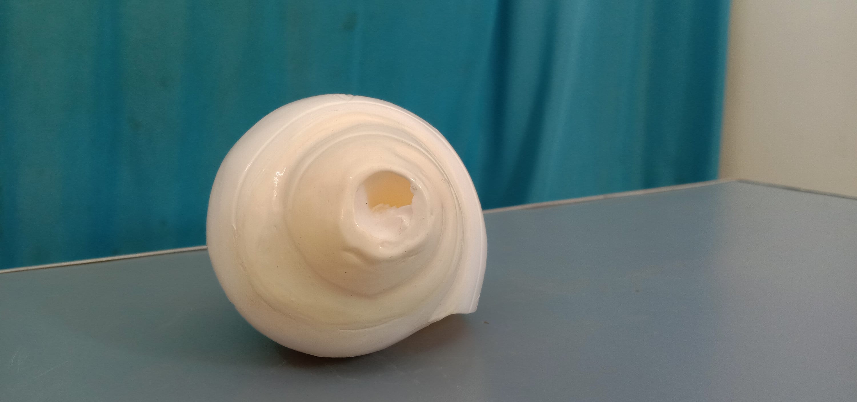 Conch Shell Blowing Shankh for Puja Shankha - Etsy