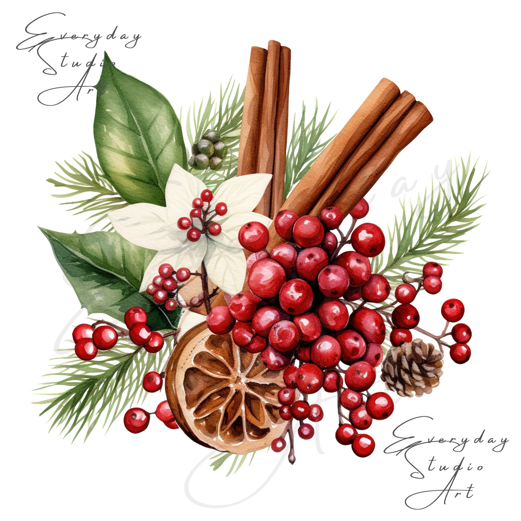 Christmas Potpourri Watercolor Clipart, 8 PNG High Quality, Pot Pourri ...