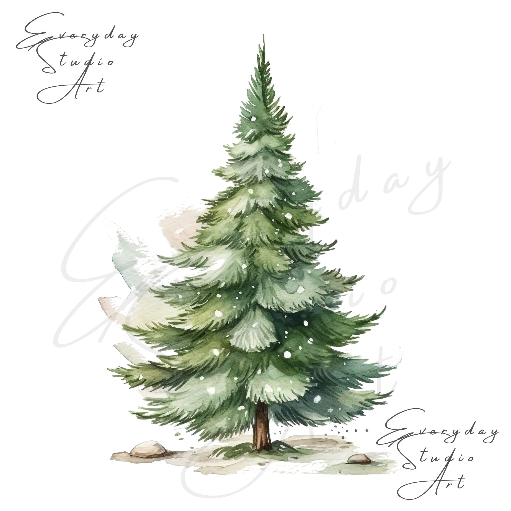 Watercolor Pine Tree Clipart, 8 PNG High Quality, Festive Clipart ...
