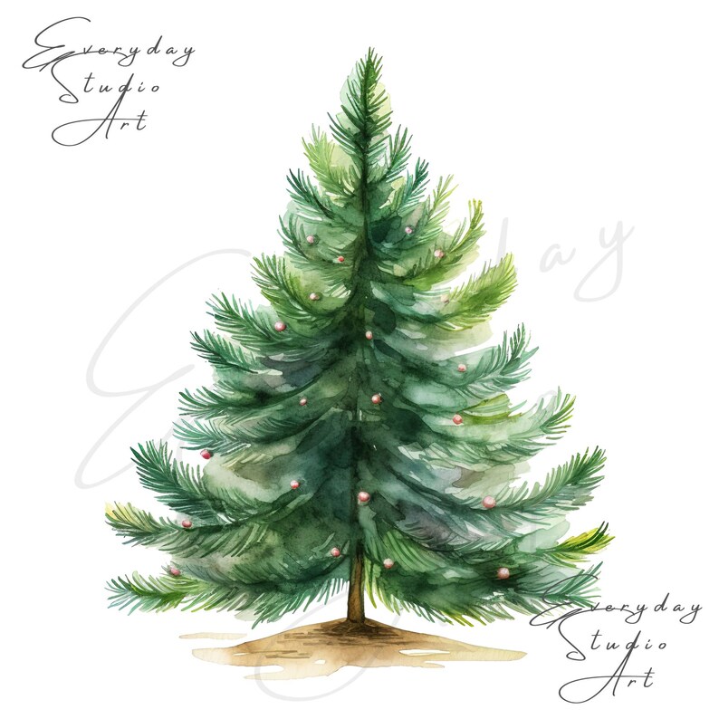 Watercolor Pine Tree Clipart, 8 PNG High Quality, Festive Clipart ...