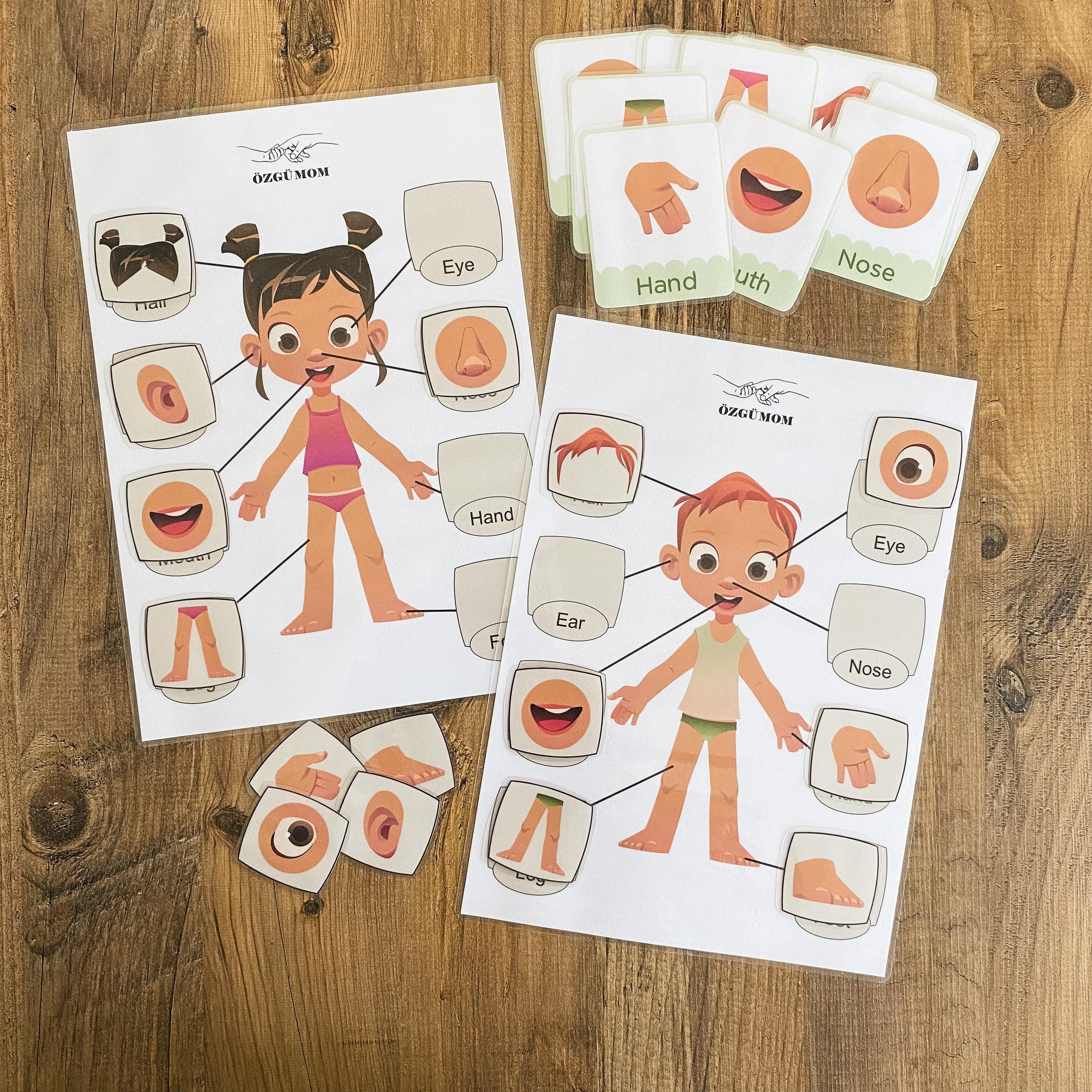 Body Parts/body Parts Printable Activity/homeschool Montessori/learning ...