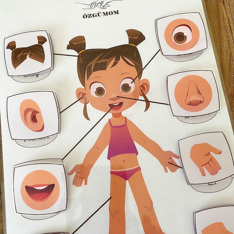 Body Parts/body Parts Printable Activity/homeschool Montessori/learning ...