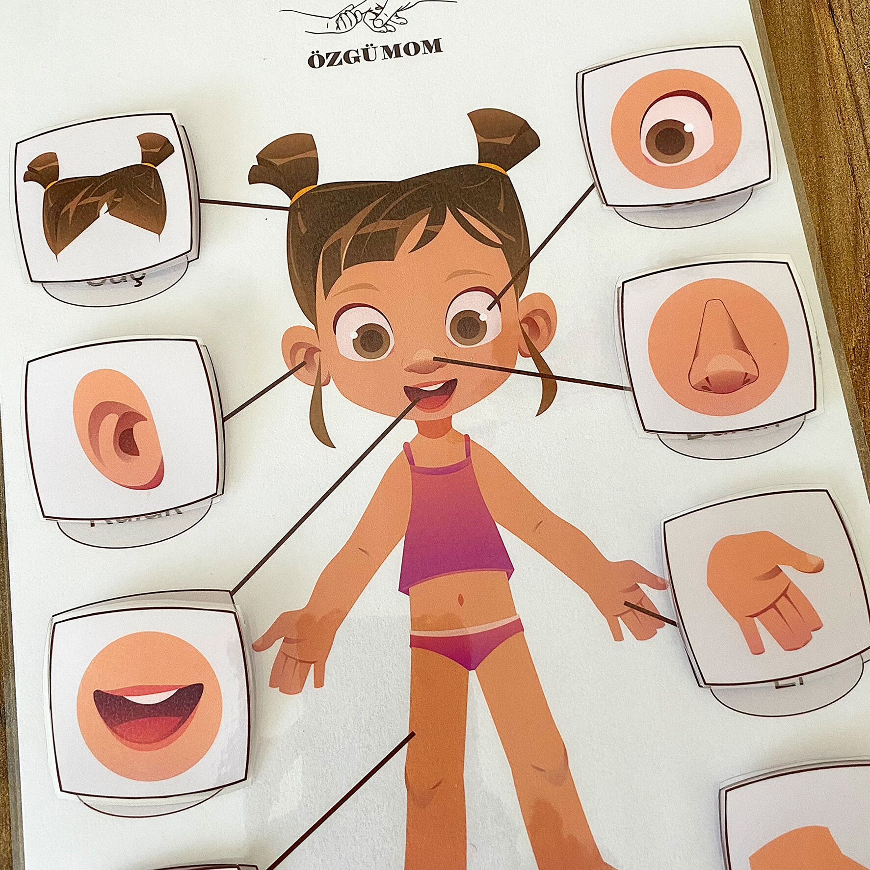 Body Parts/body Parts Printable Activity/homeschool Montessori/learning ...