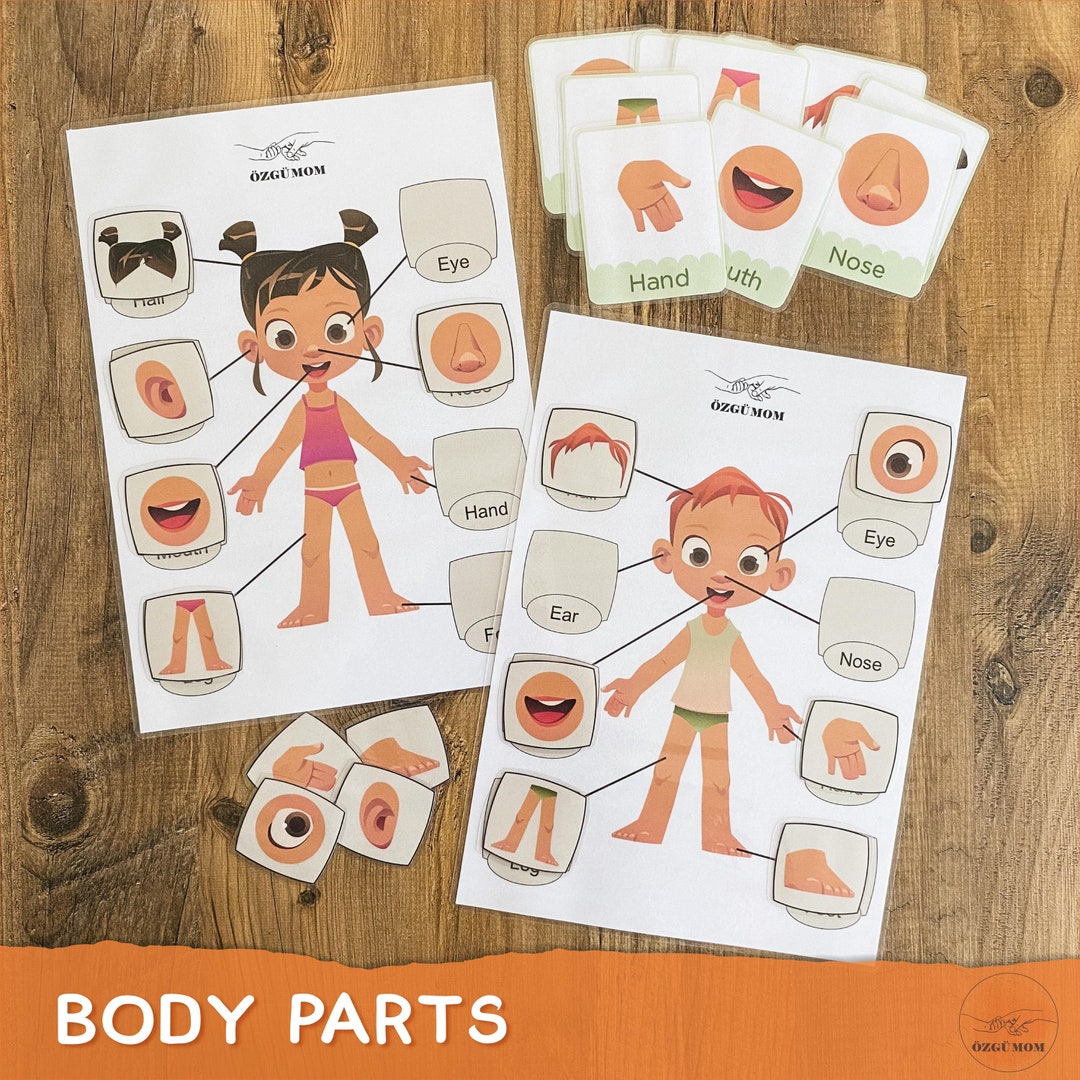 Body Parts/body Parts Printable Activity/homeschool Montessori/learning ...
