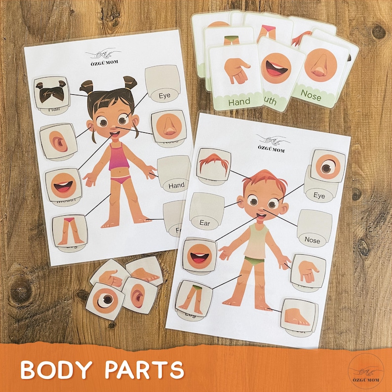 Body Parts/body Parts Printable Activity/homeschool Montessori/learning ...