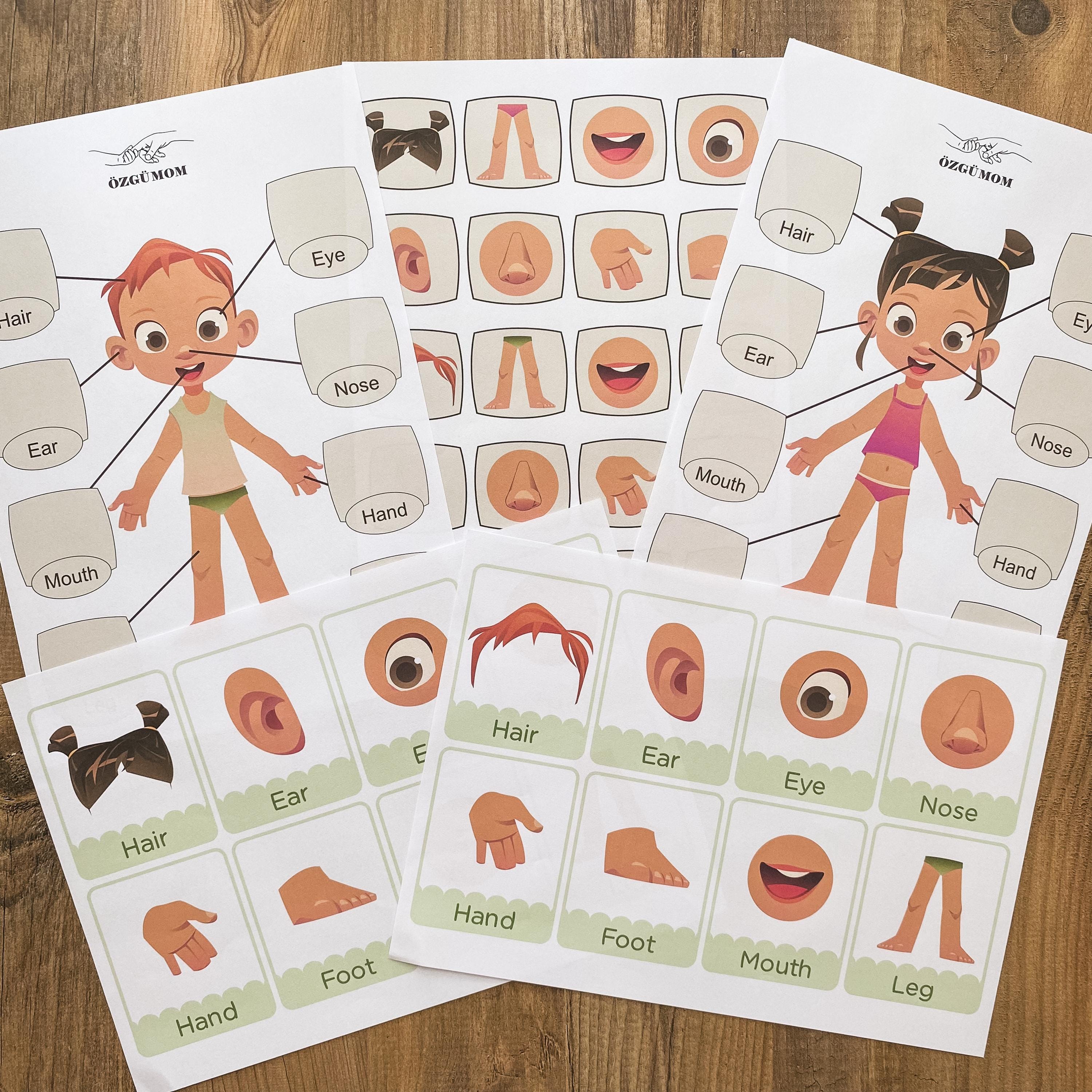 Body Parts/body Parts Printable Activity/homeschool Montessori/learning ...