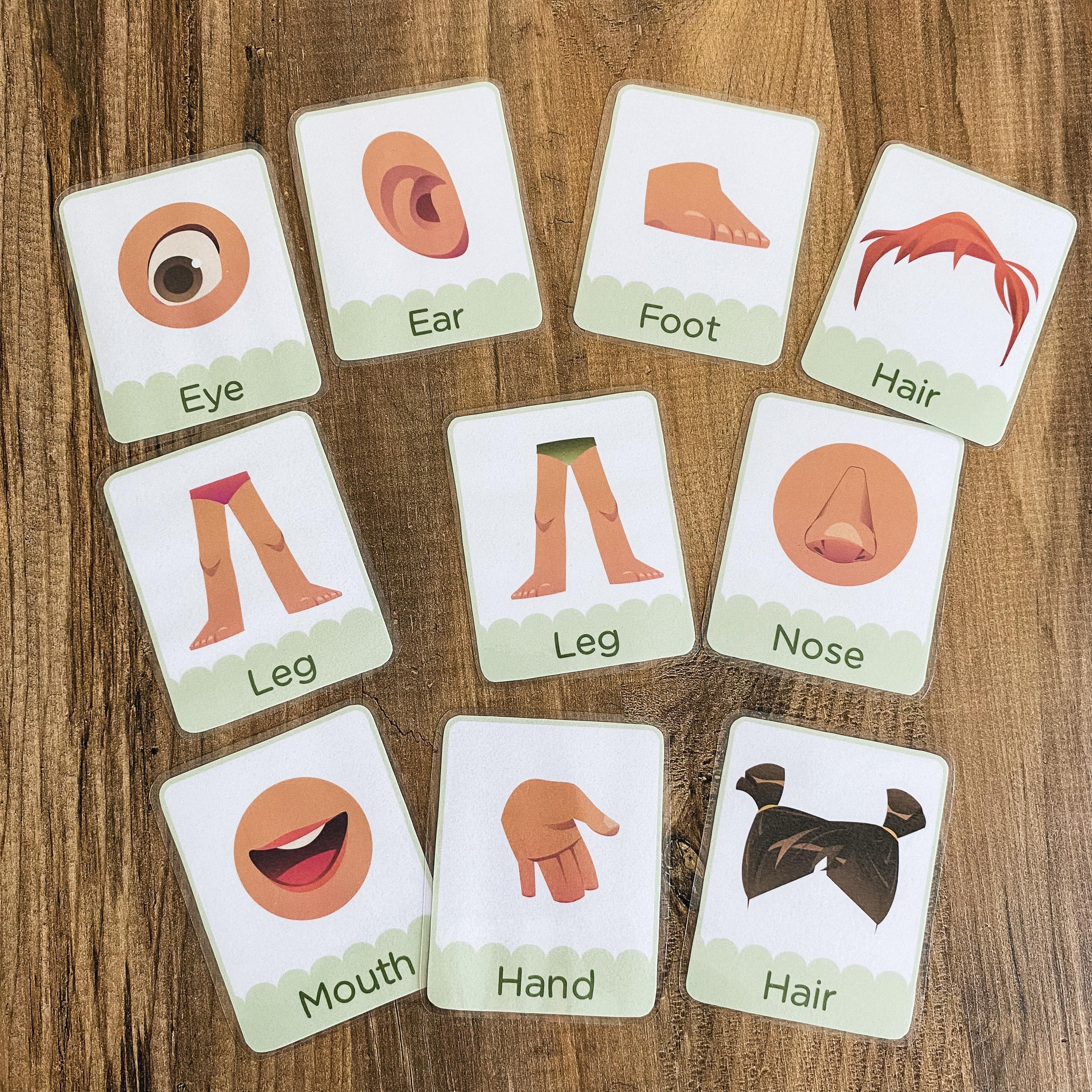 Body Parts/body Parts Printable Activity/homeschool Montessori/learning ...