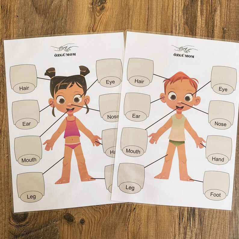 Body Parts/body Parts Printable Activity/homeschool Montessori/learning ...