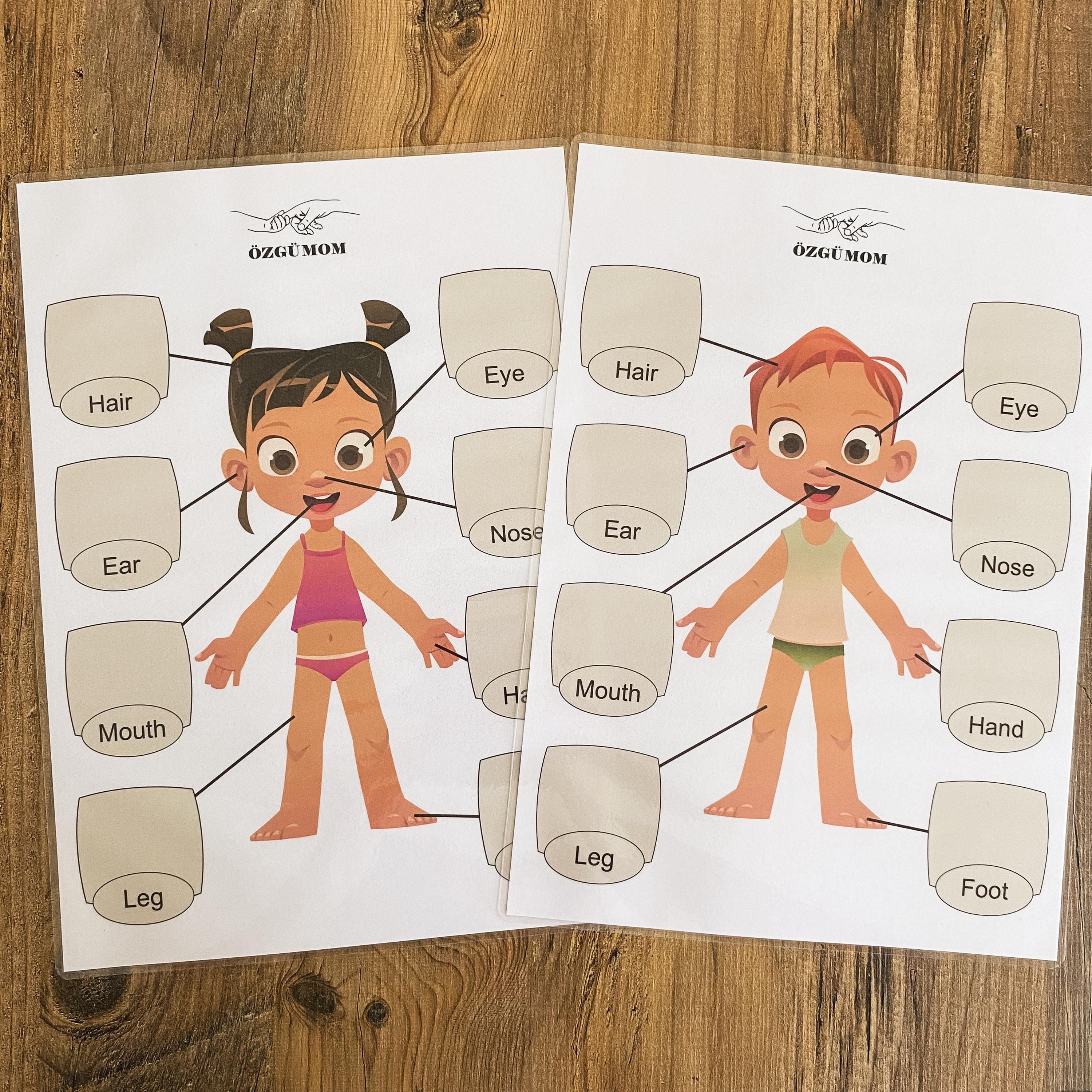 Body Parts/body Parts Printable Activity/homeschool Montessori/learning ...