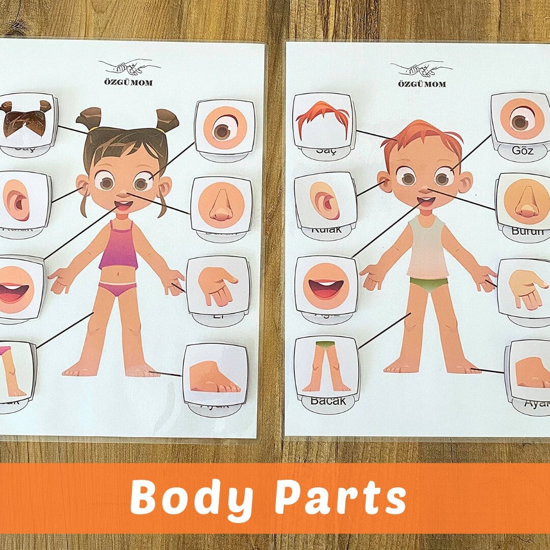 Body Parts/body Parts Printable Activity/homeschool Montessori/learning ...