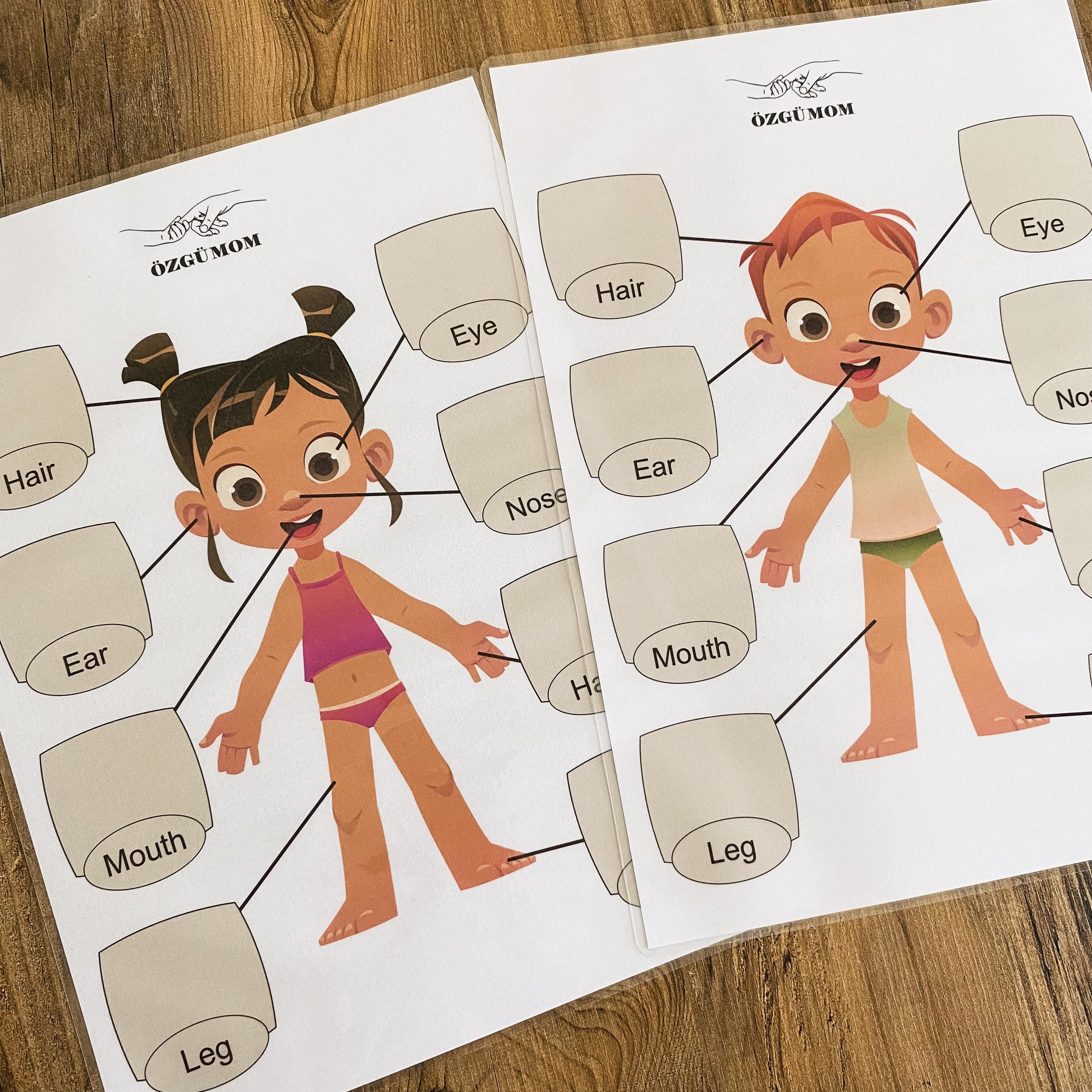 Body Parts/body Parts Printable Activity/homeschool Montessori/learning ...