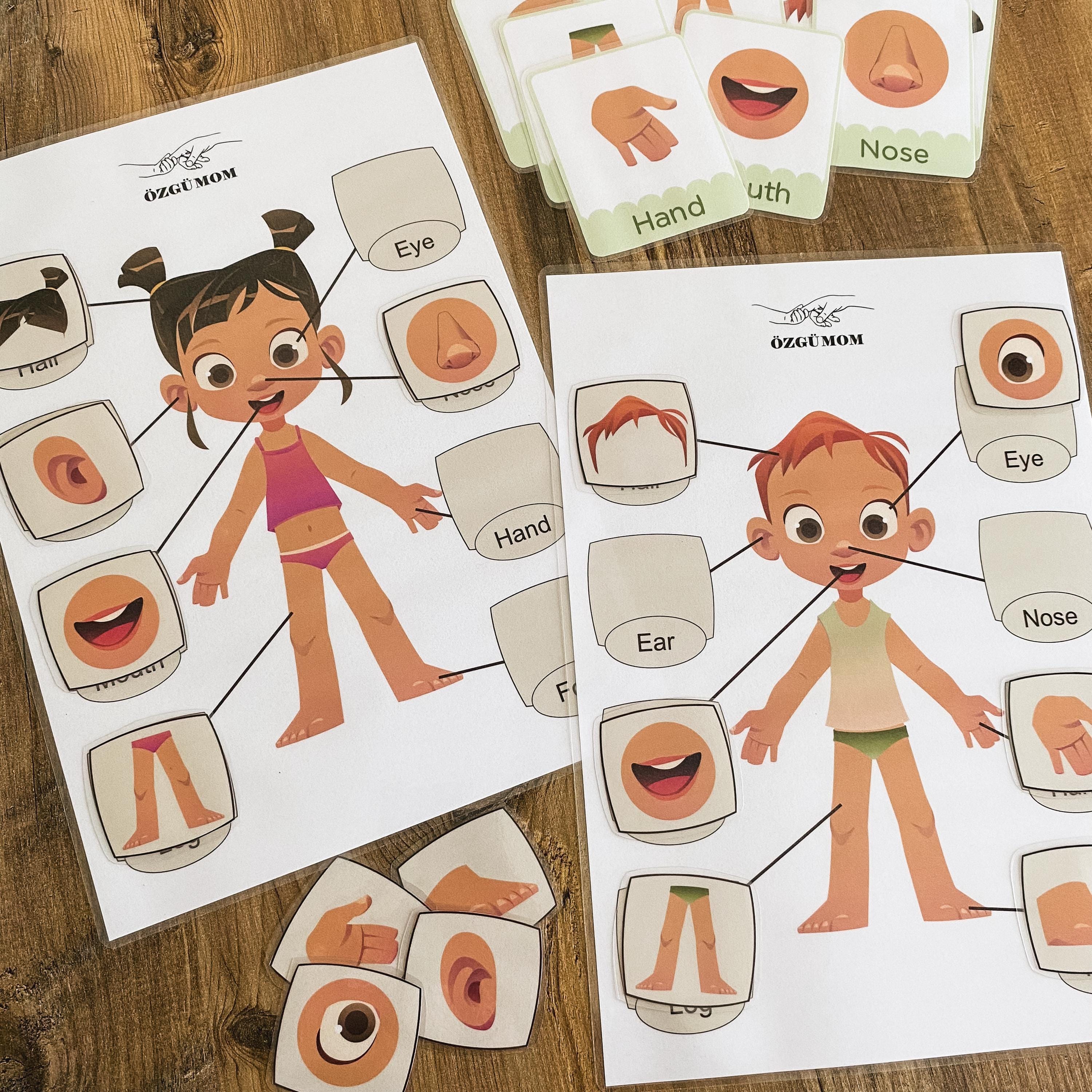 Body Parts/body Parts Printable Activity/homeschool Montessori/learning ...