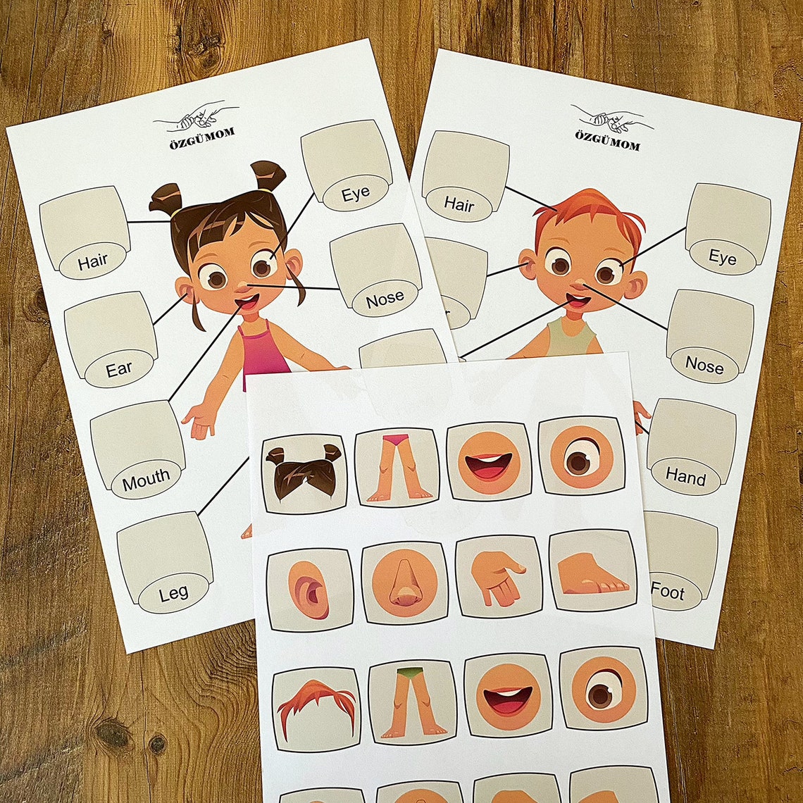 Body Parts/body Parts Printable Activity/homeschool Montessori/learning ...