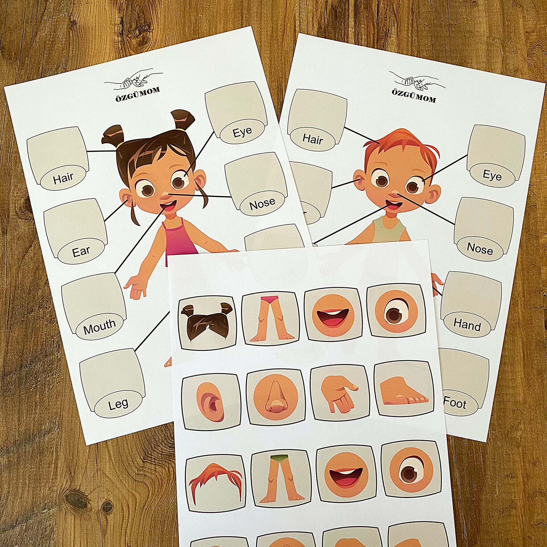 Body Parts/body Parts Printable Activity/homeschool Montessori/learning ...