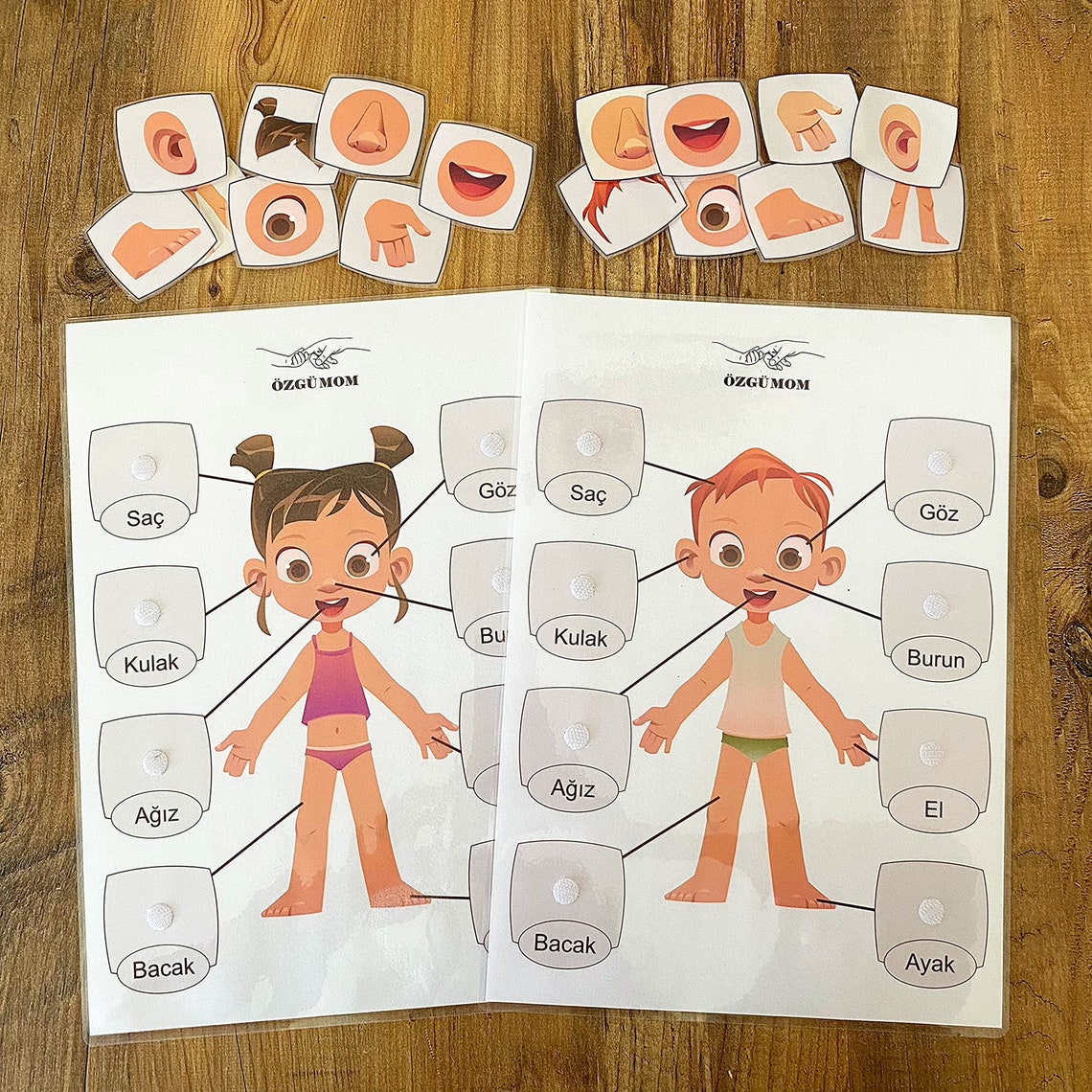 Body Parts/body Parts Printable Activity/homeschool Montessori/learning ...