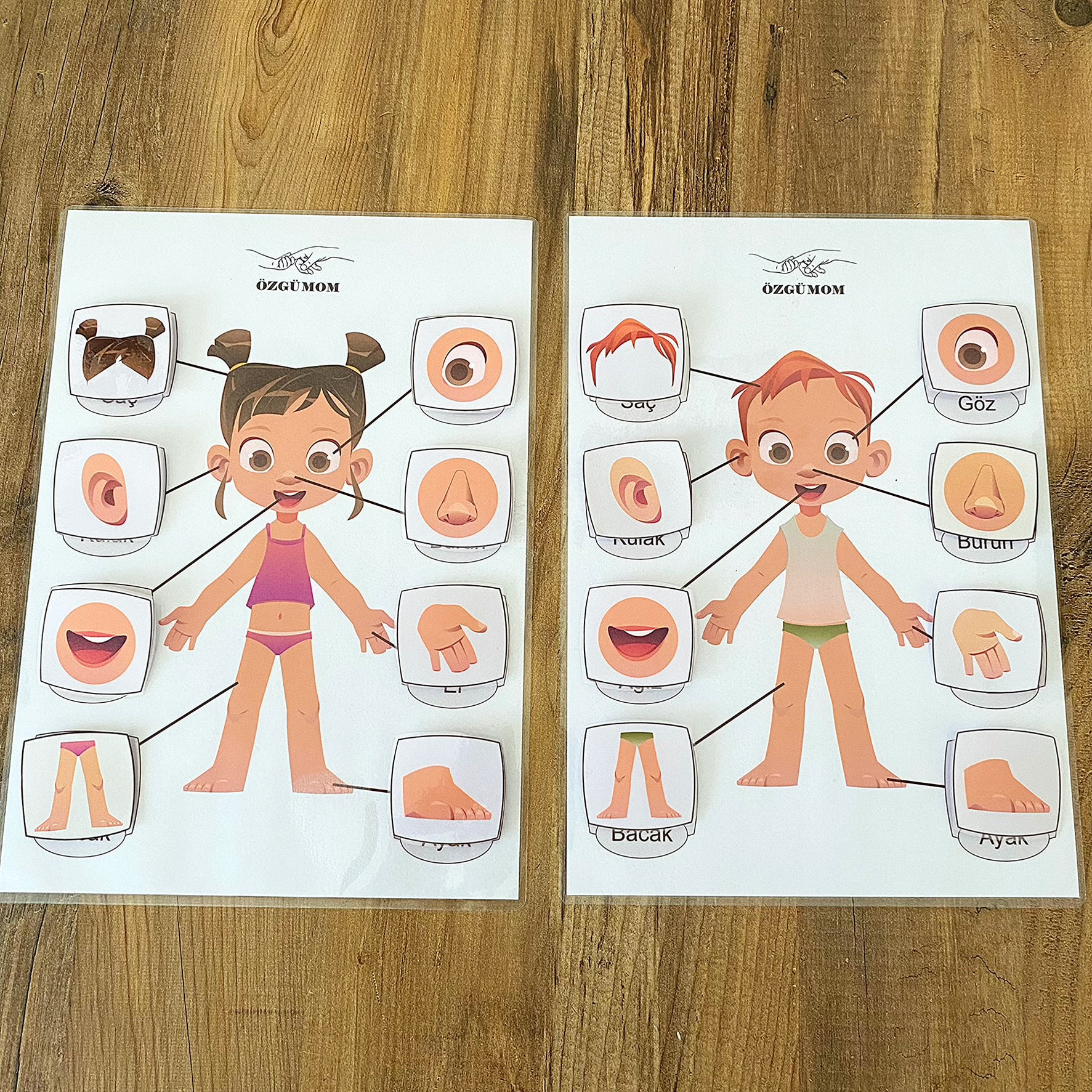 Body Parts/body Parts Printable Activity/homeschool Montessori/learning ...