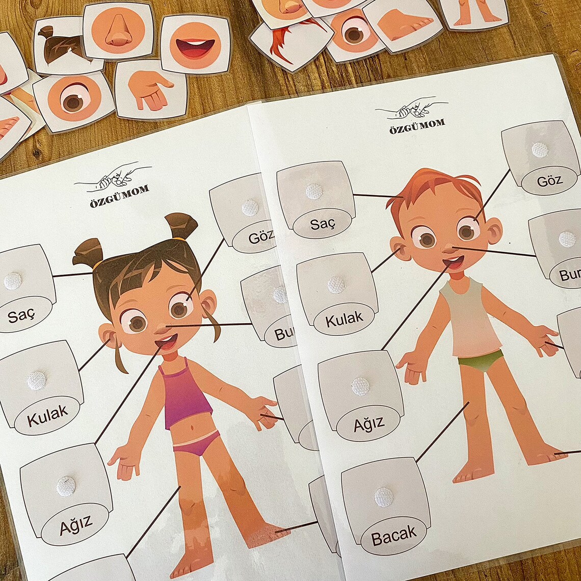 Body Parts/body Parts Printable Activity/homeschool Montessori/learning ...