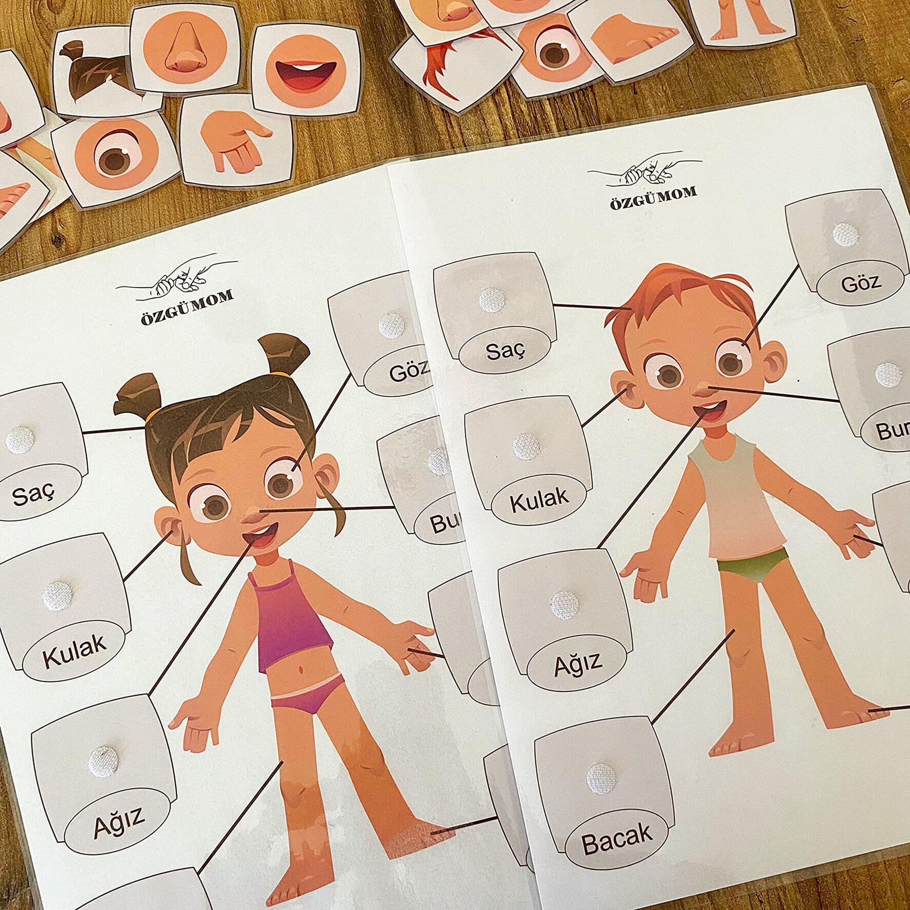 Body Parts/body Parts Printable Activity/homeschool Montessori/learning ...