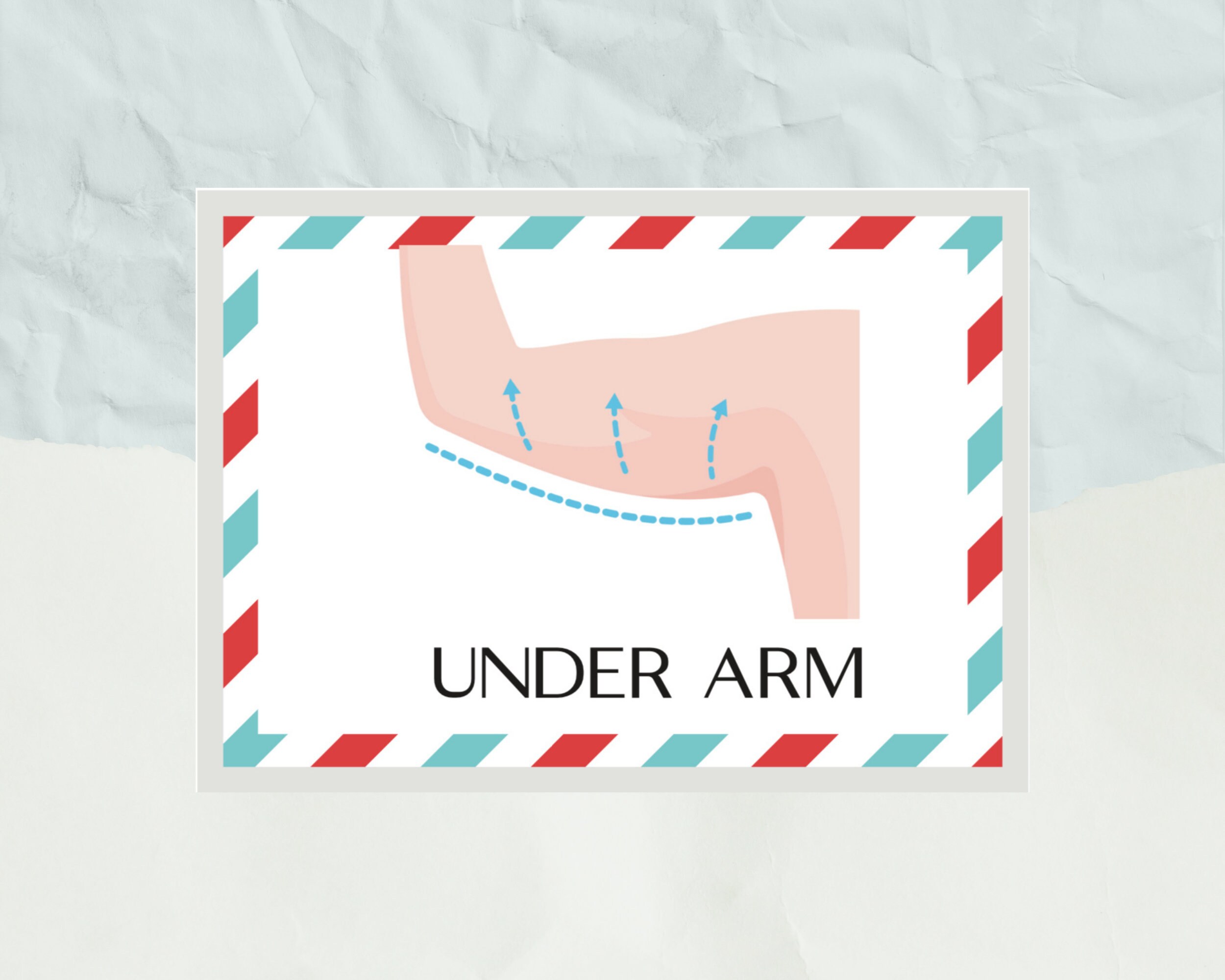 Montessori Body Parts Flashcards for Kids | Printable Human Anatomy ...