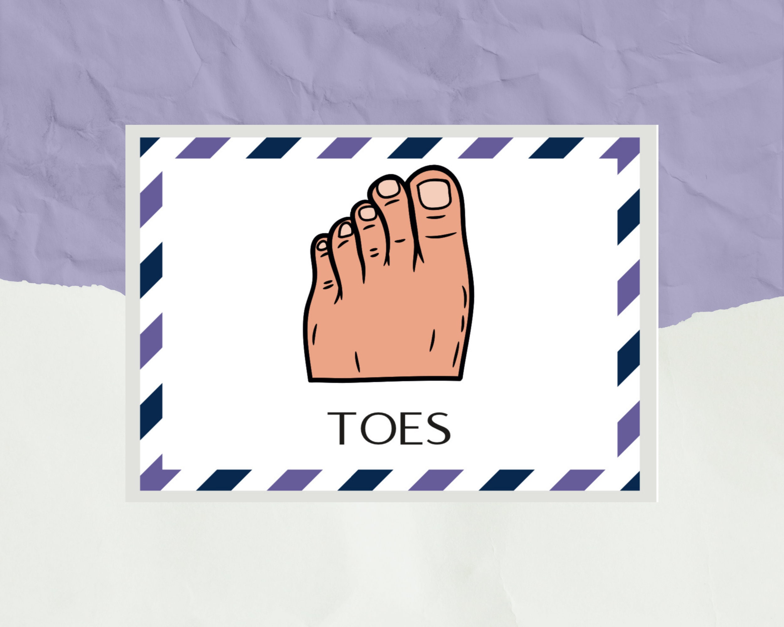 Montessori Body Parts Flashcards for Kids | Printable Human Anatomy ...
