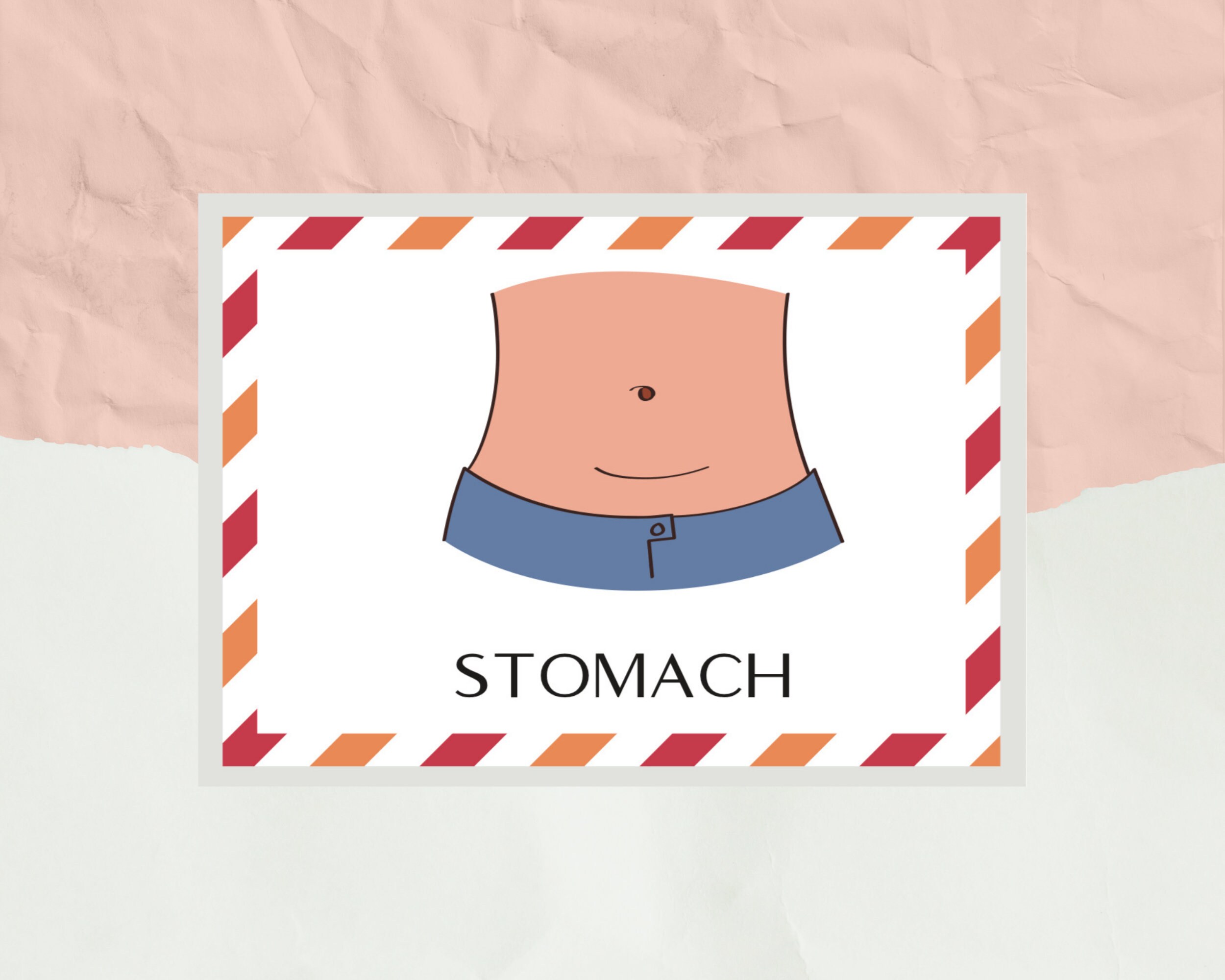 Montessori Body Parts Flashcards for Kids | Printable Human Anatomy ...