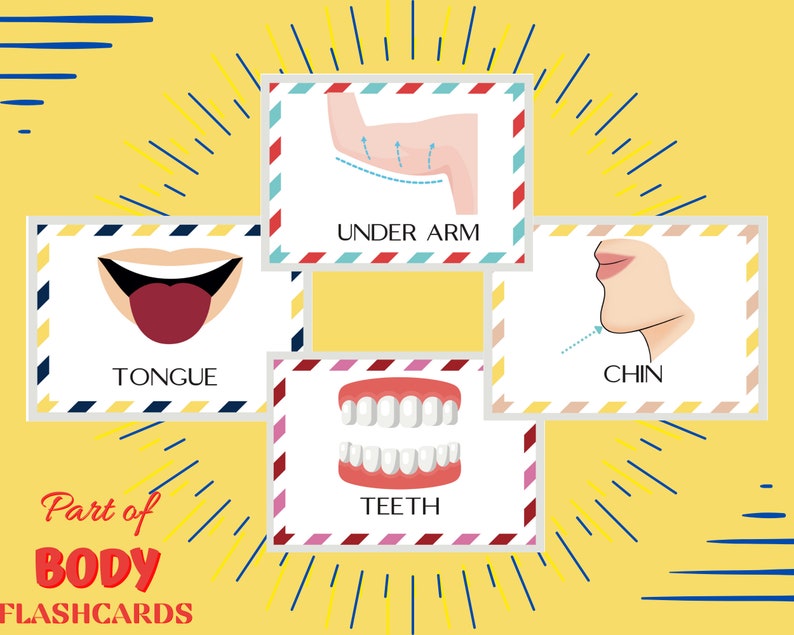Montessori Body Parts Flashcards for Kids | Printable Human Anatomy ...