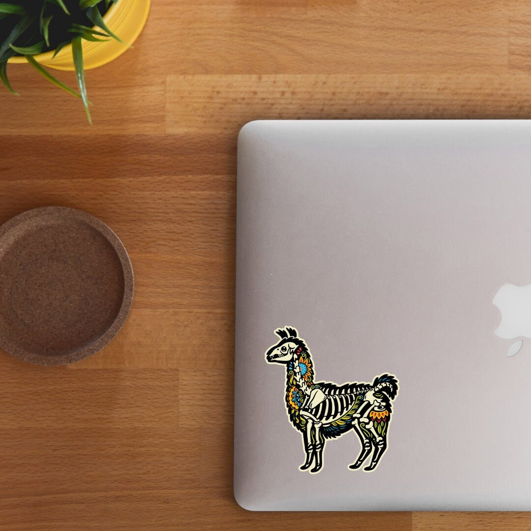 Llama Anatomy Vinyl Sticker Cartoon Cute Animals Laptop Hydroflask ...