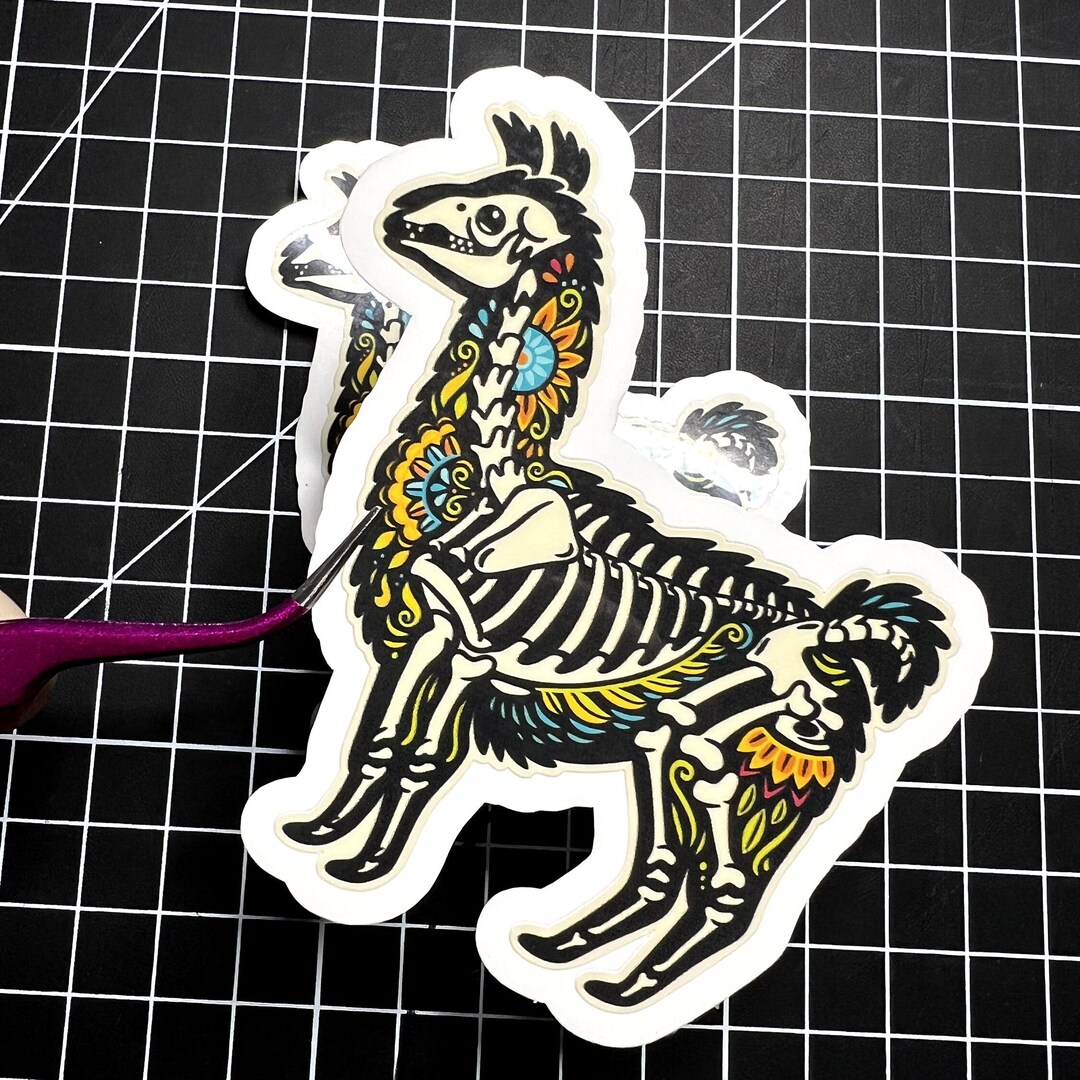 Llama Anatomy Vinyl Sticker - Cartoon - Cute Animals - Laptop ...
