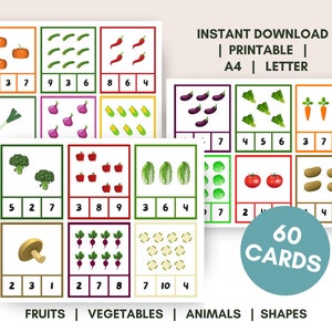 Colorful Counting Cards, Preschool Math, Beginning Math, Counting ...
