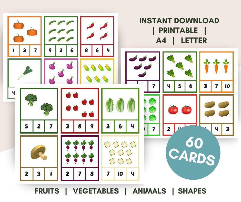 Colorful Counting Cards, Preschool Math, Beginning Math, Counting ...