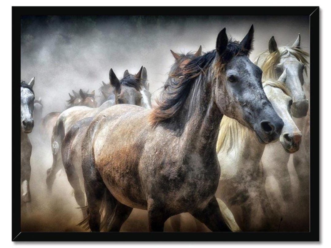 Thunderous Hooves | Wild Horse Wall Art | Rustic Western Decor ...