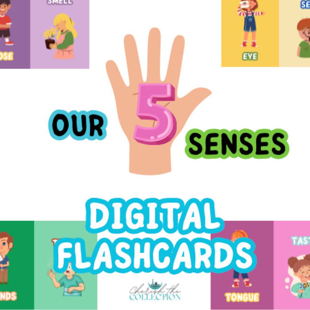Five Senses Digital Flashcards 5 Senses Teacher Resource Classroom Wall ...