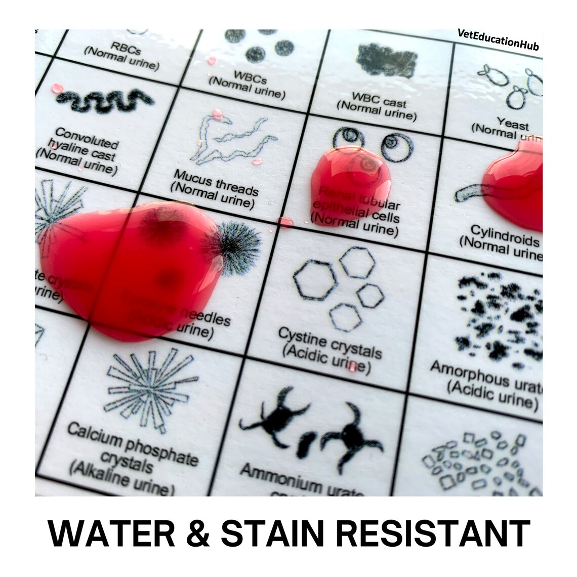 Veterinary Pocket Reference Cards, Veterinary Pocket Book, Veterinary ...