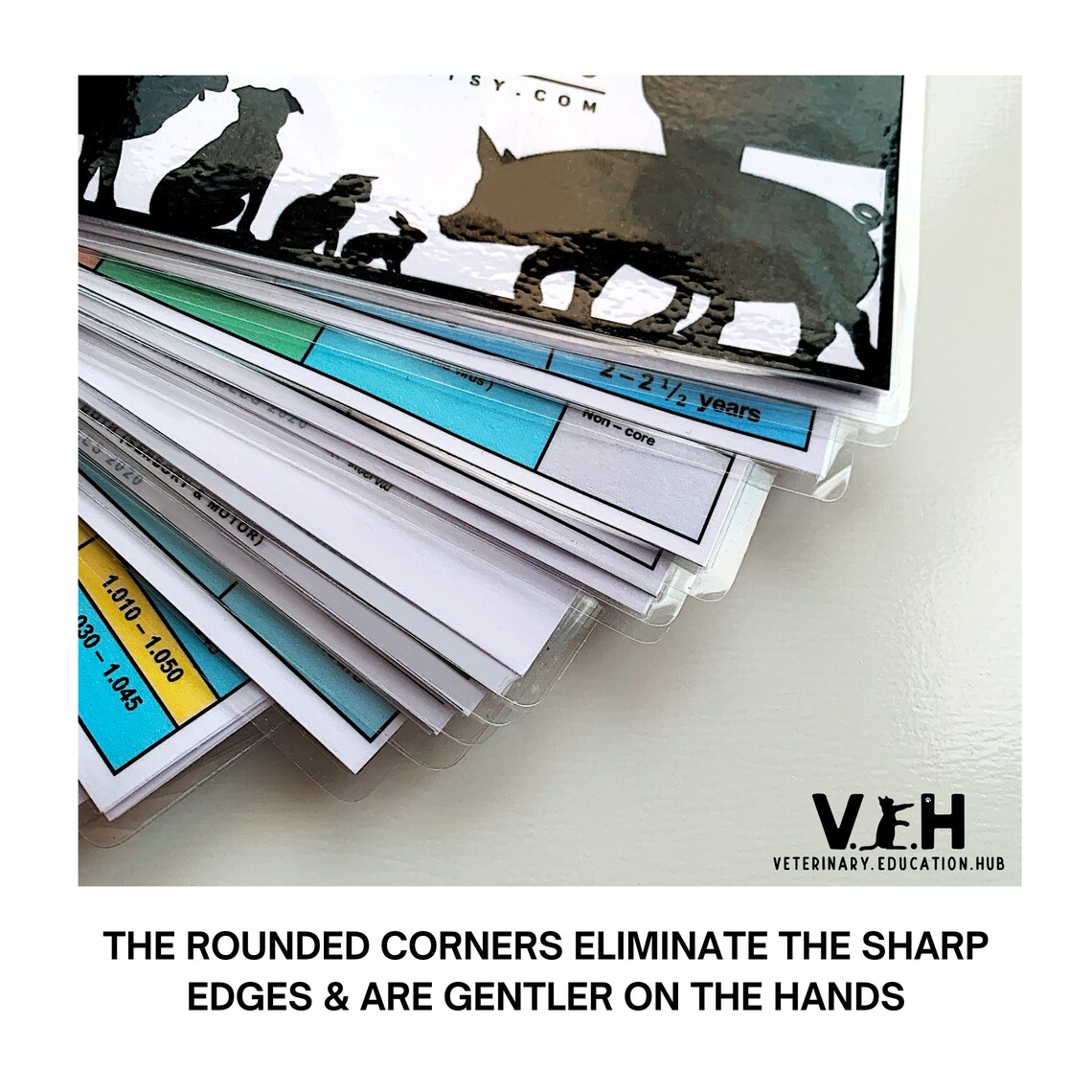 Veterinary Pocket Reference Cards, Veterinary Pocket Book, Veterinary ...