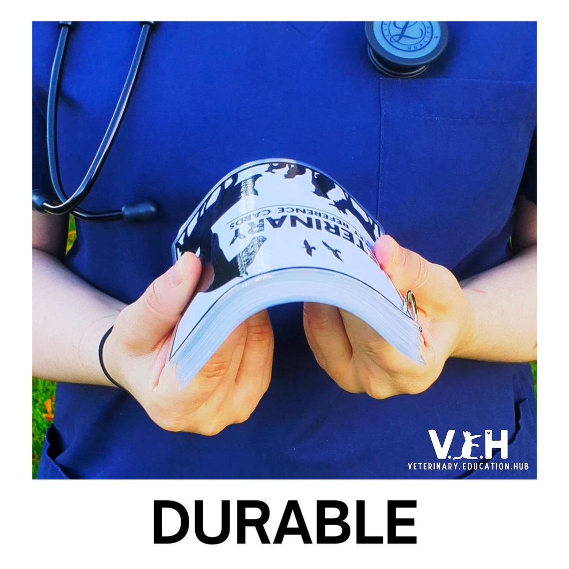 Set of 4 Veterinary Flashcards Bundle, Veterinary Pocket Book ...