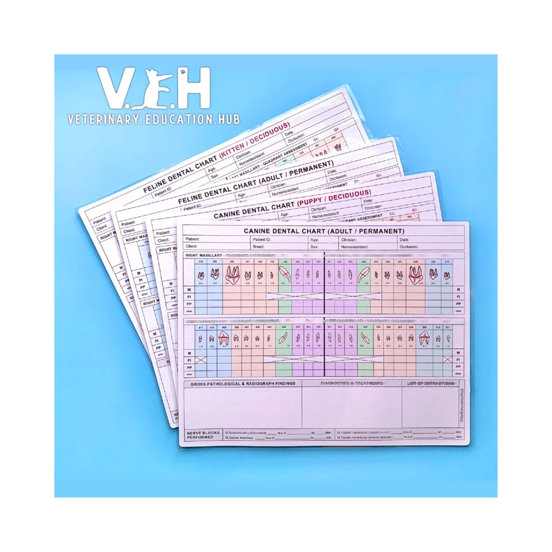 Reusable Veterinary Dental Charts, Dog Dental Chart, Cat Dental Chart ...