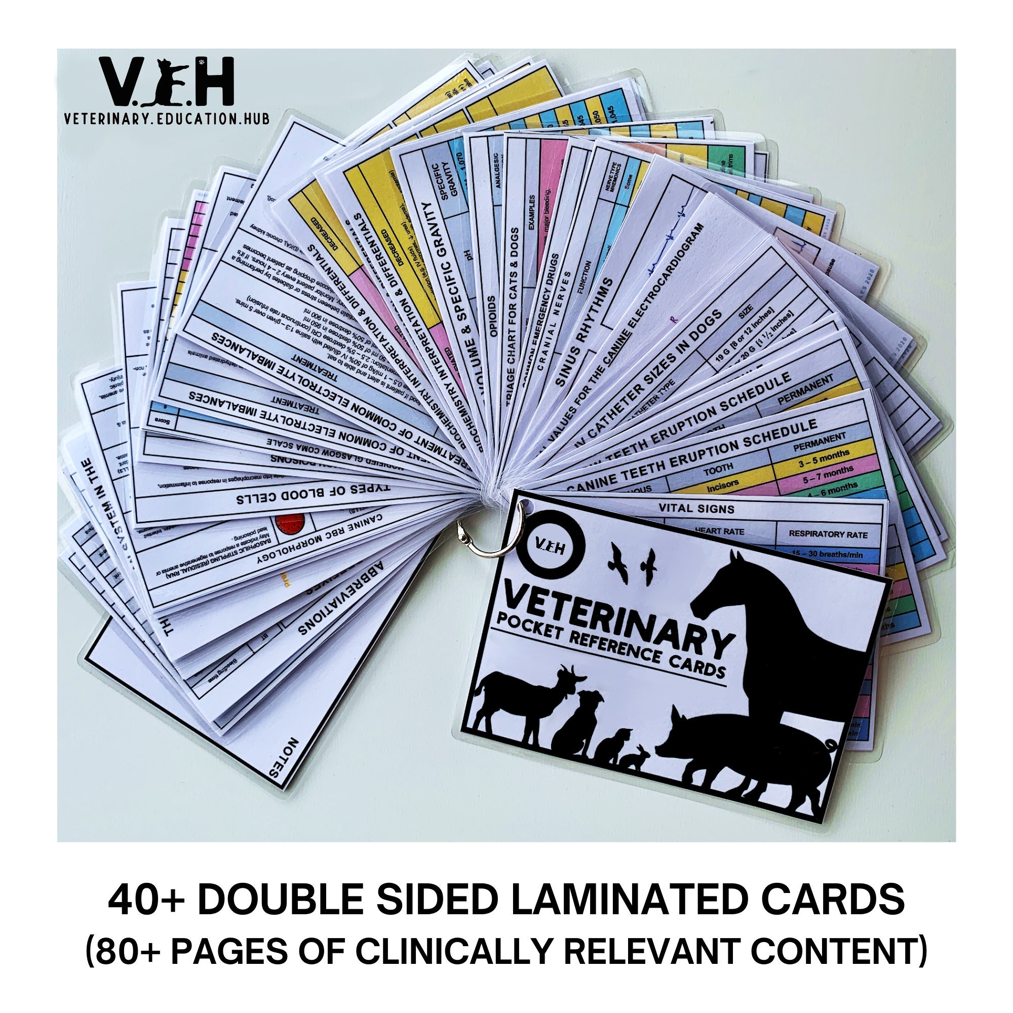 Veterinary Gift Box for Veterinary Students, Vet Nurses, Vet Techs ...