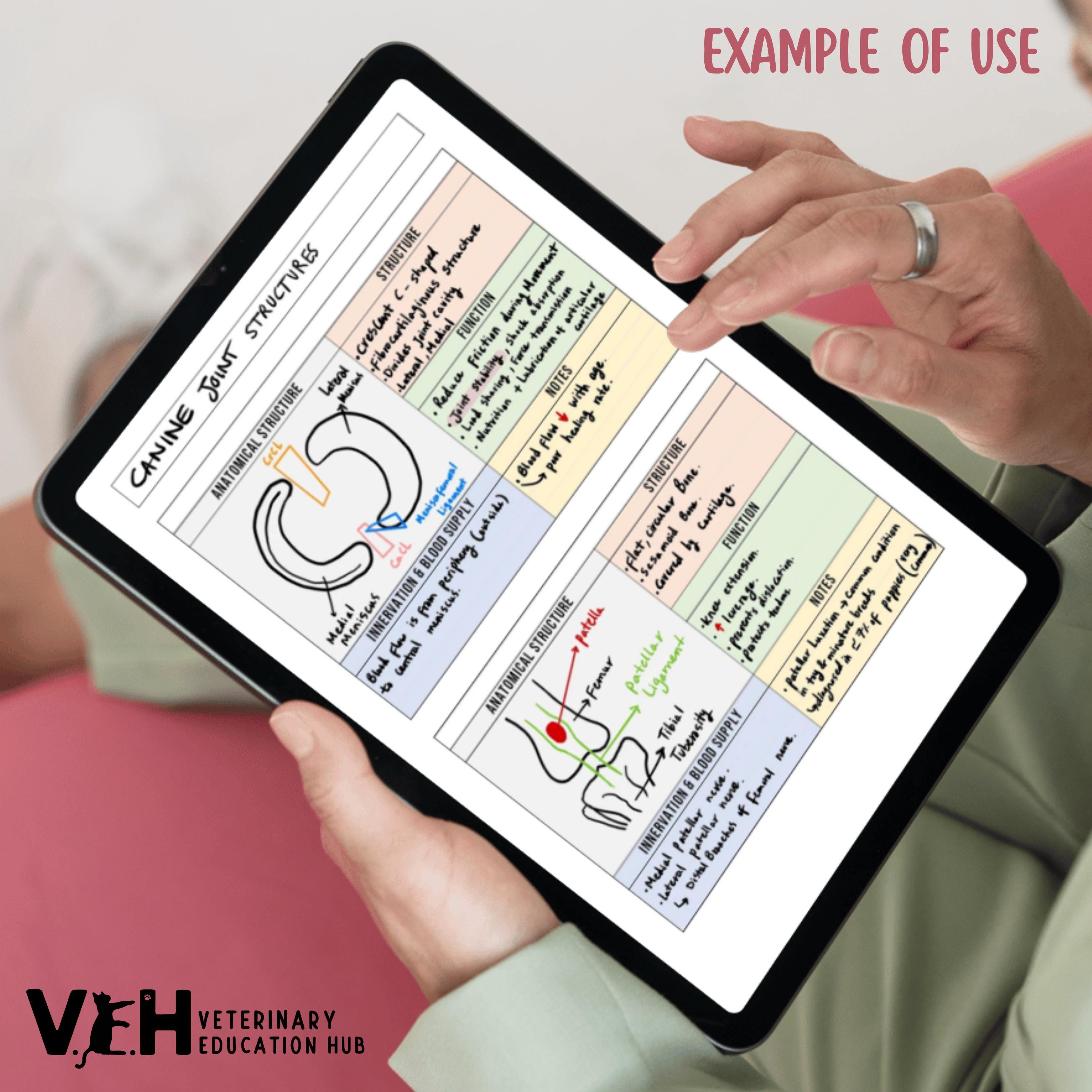 Anatomy Study Note Template for Veterinary, Medical & Science Students ...