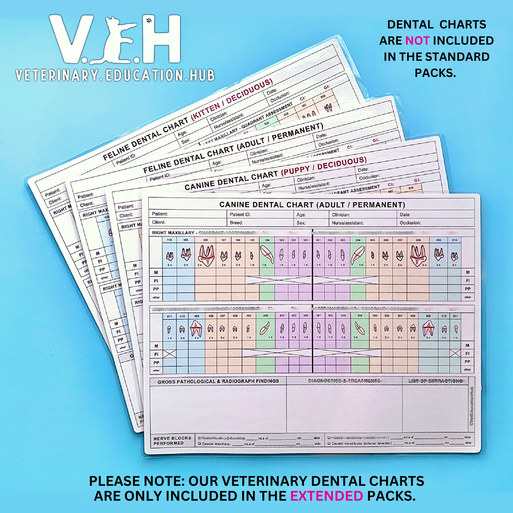 Reusable Veterinary Anesthesia Recording Sheet, Veterinary Anaesthesia ...