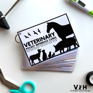Set of 4 Veterinary Flashcards Bundle, Veterinary Pocket Book ...