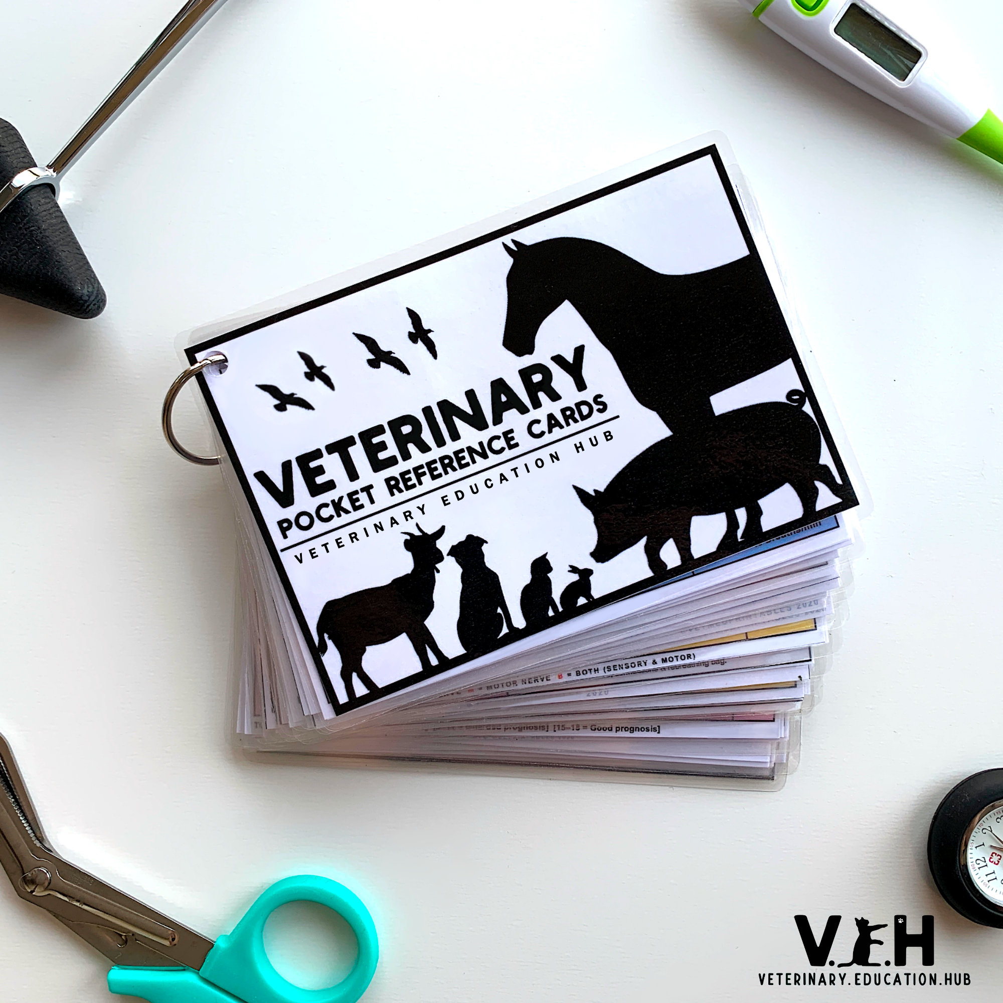 Set of 4 Veterinary Flashcards Bundle, Veterinary Pocket Book ...
