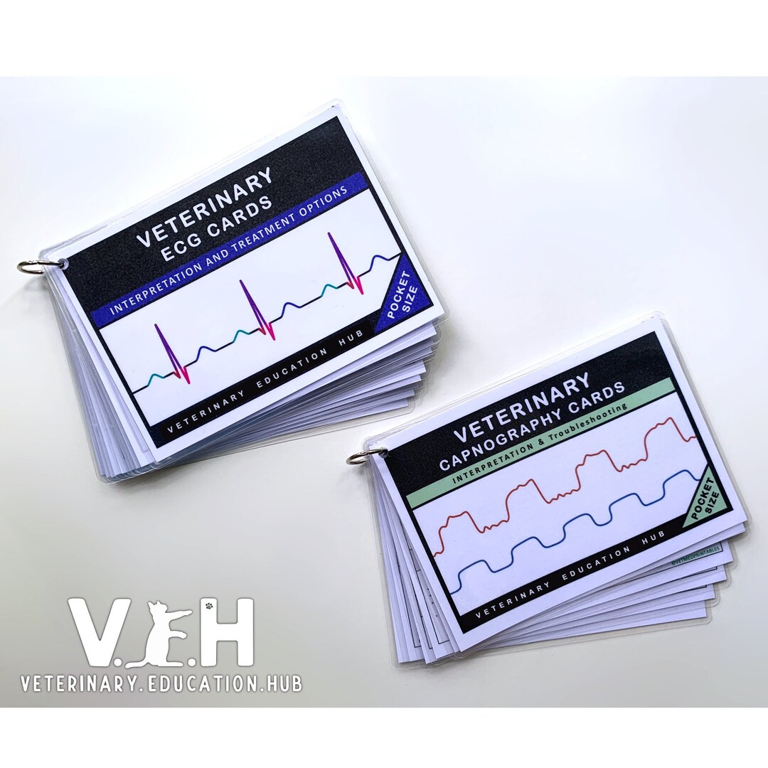 Veterinary ECG and Capnography BUNDLE, Set of 2 Veterinary Flashcards ...