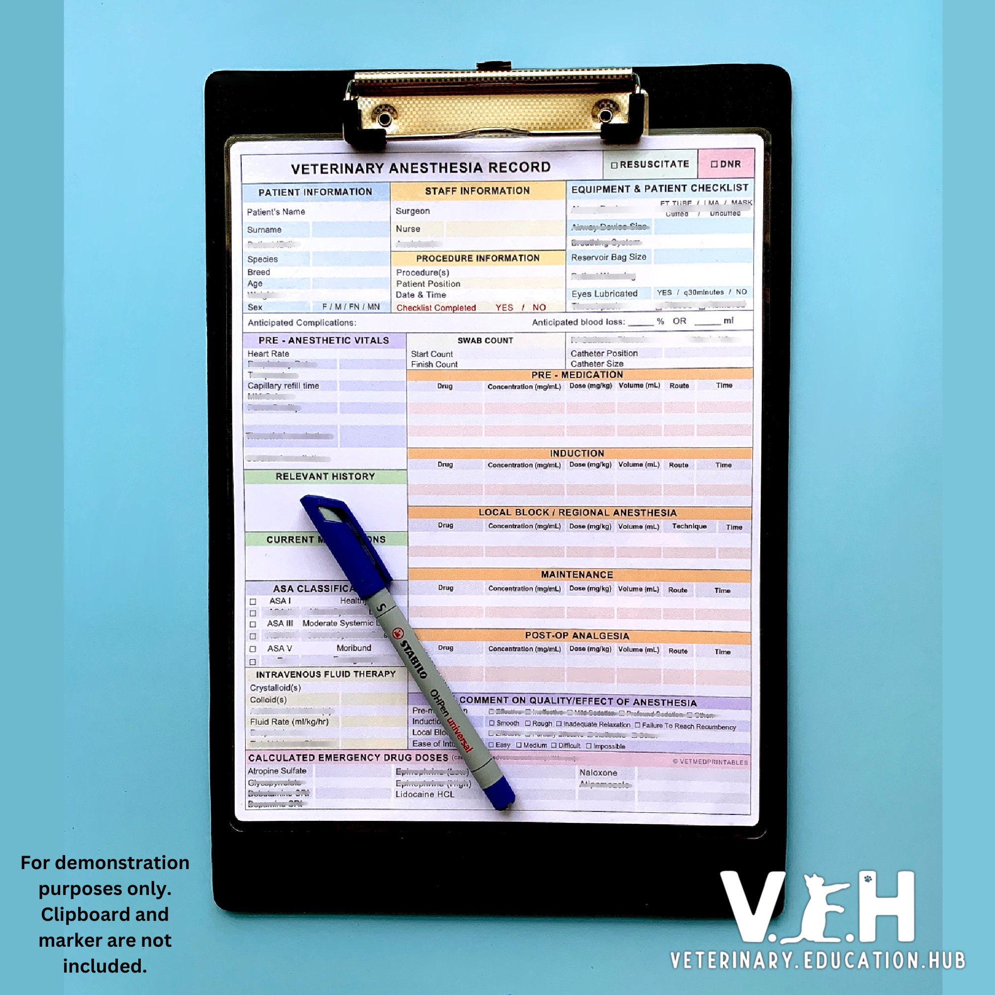 Reusable Veterinary Anesthesia Recording Sheet, Veterinary Anaesthesia ...