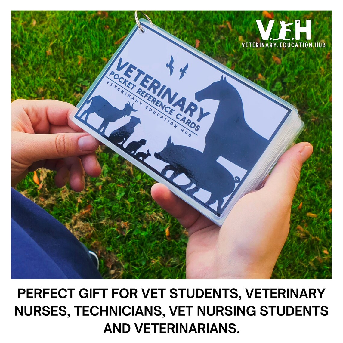 Veterinary Pocket Reference Cards, Veterinary Pocket Book, Veterinary ...