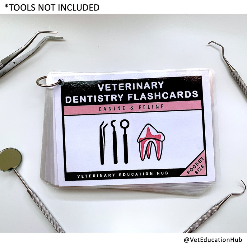 Set of 4 Veterinary Flashcards Bundle, Veterinary Pocket Book ...